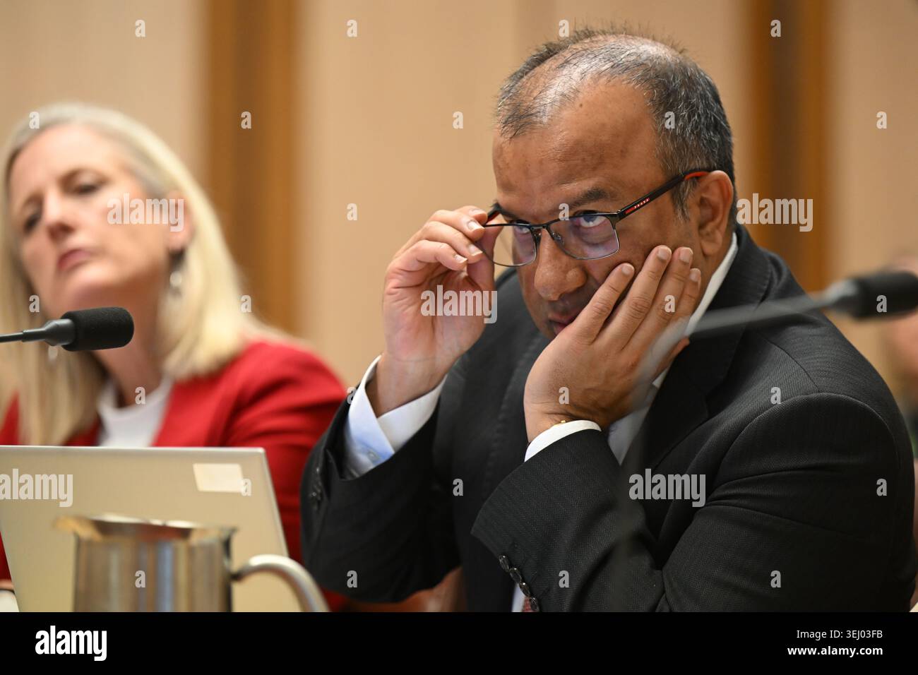 Acting Public Service Commissioner Subho Banerjee speaks during Senate ...