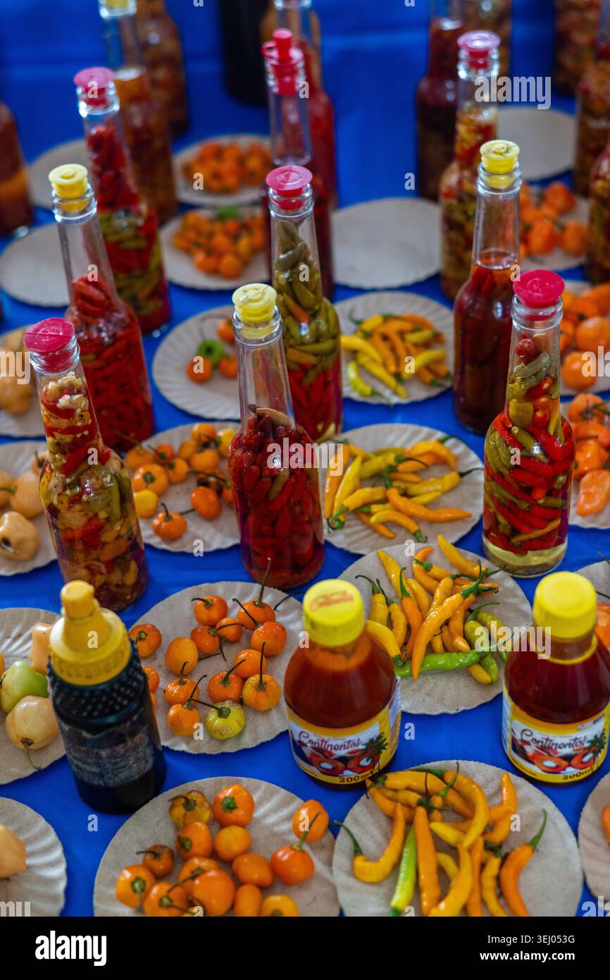 Rio de Janeiro, Brazil - 22 May 2026: View of bottles of preserved ...