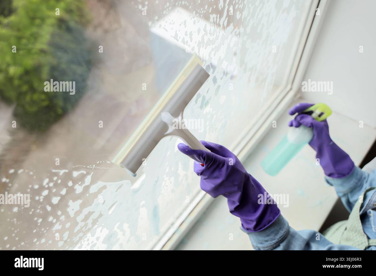 Female janitor with squeegee and detergent washing window in room, top ...