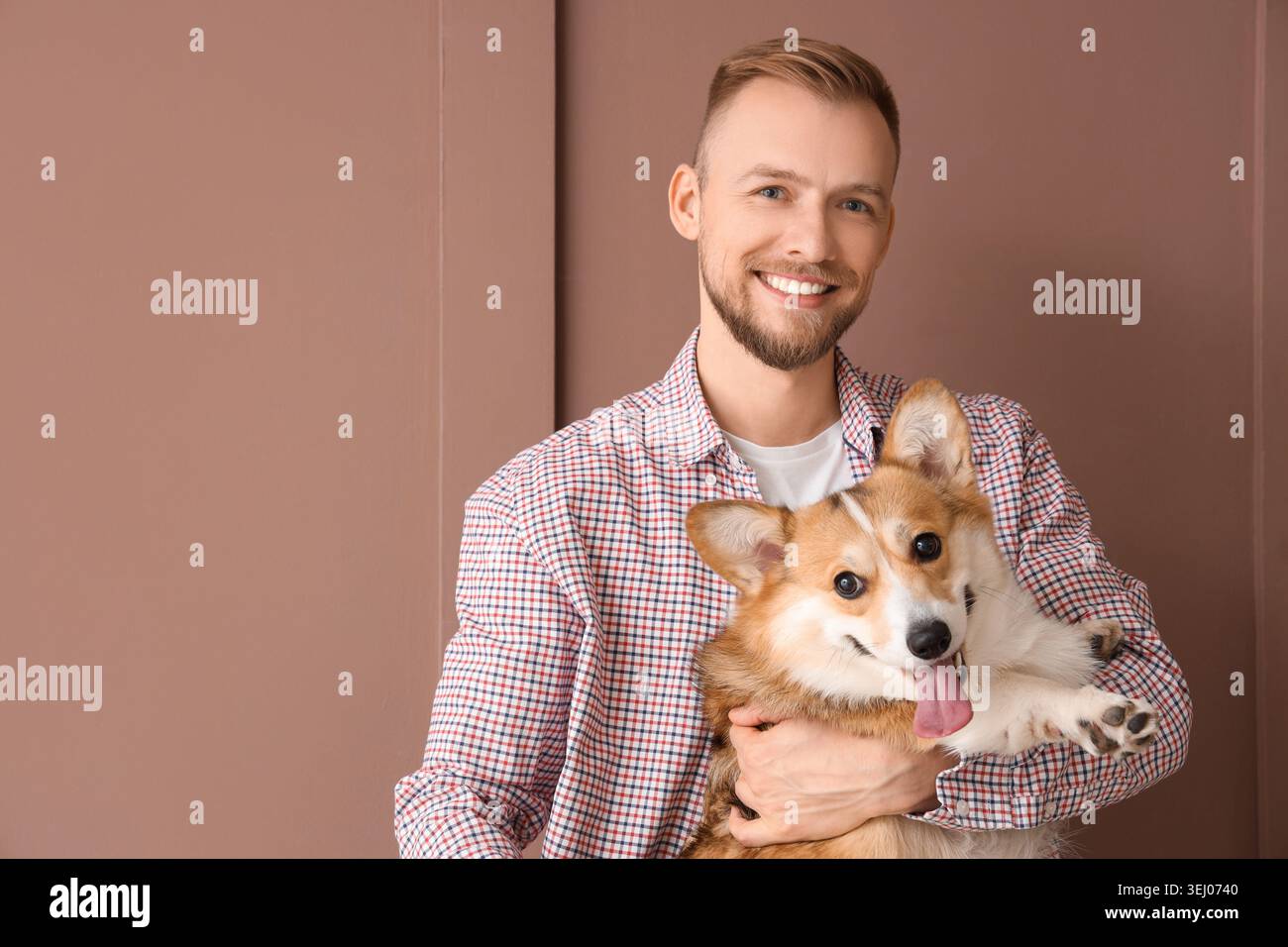 Young man with cute Corgi dog on brown background Stock Photo - Alamy