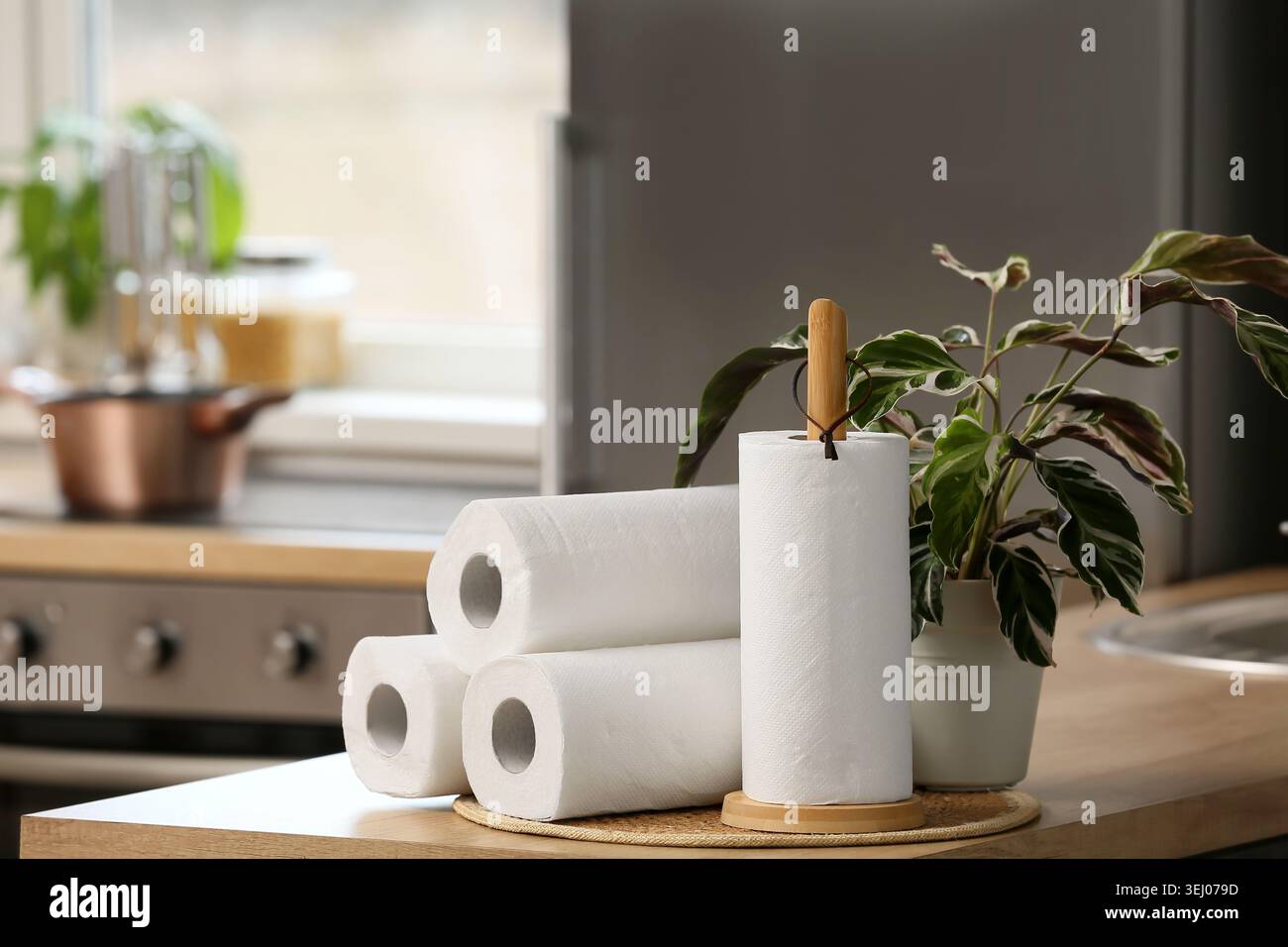 Rolls of paper towels with plant on table in kitchen Stock Photo - Alamy