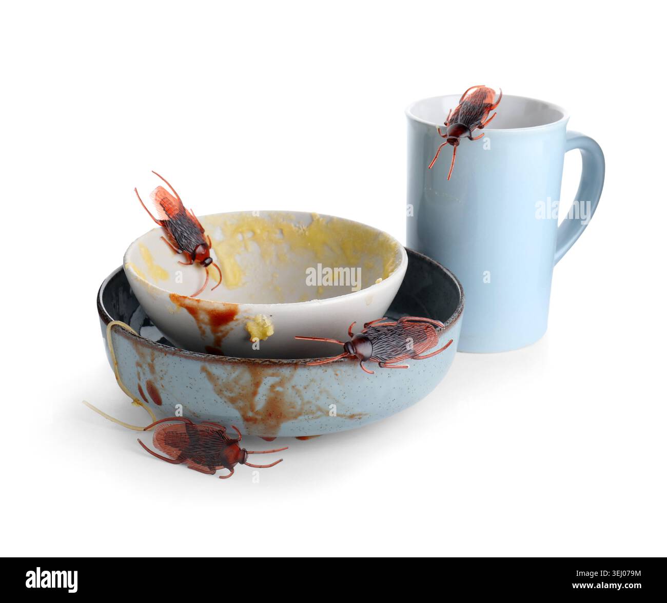 Dirty dishes with cockroaches isolated on white background Stock Photo ...