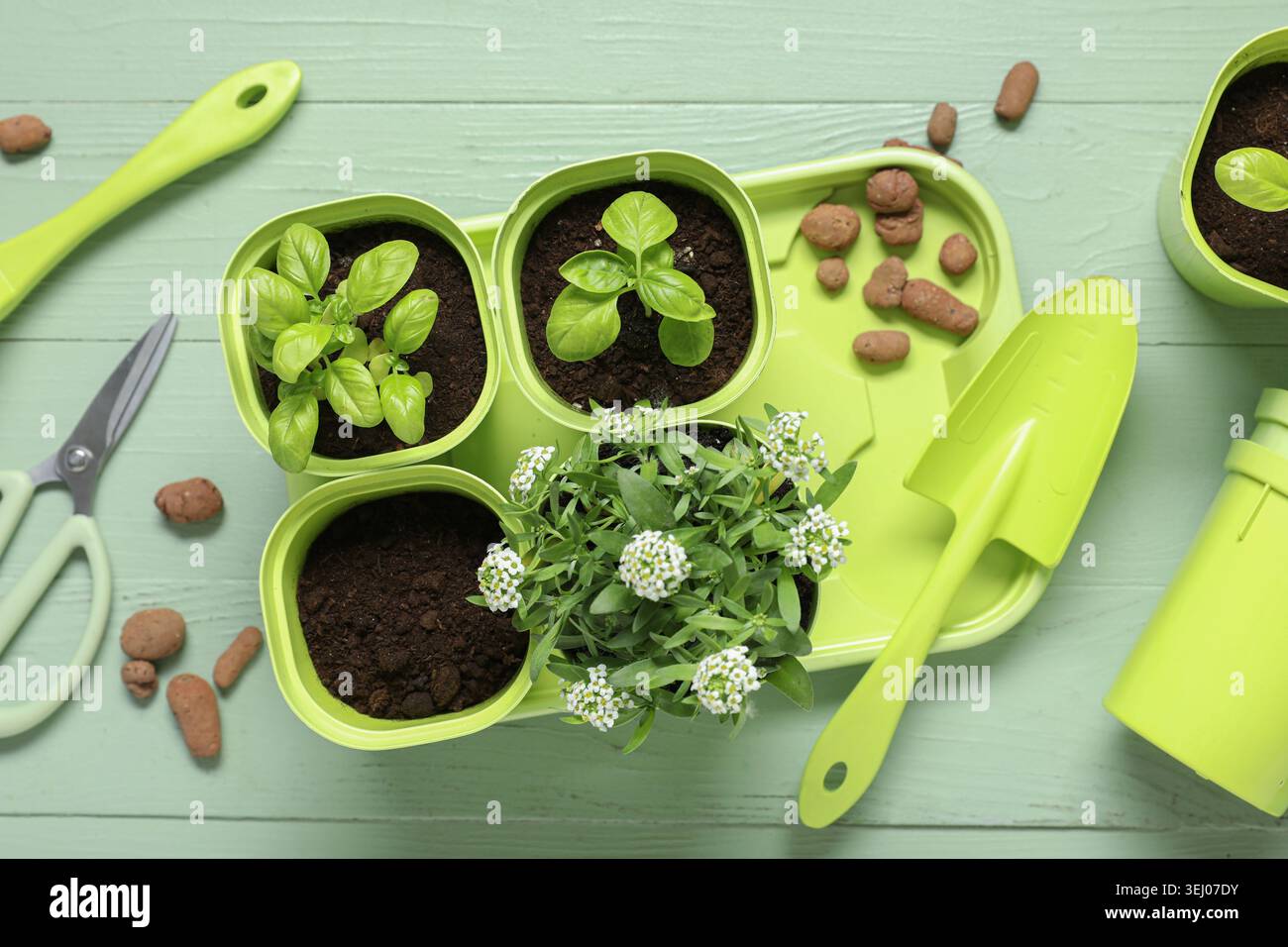 Composition with potted plants, expanded clay and gardening supplies on ...