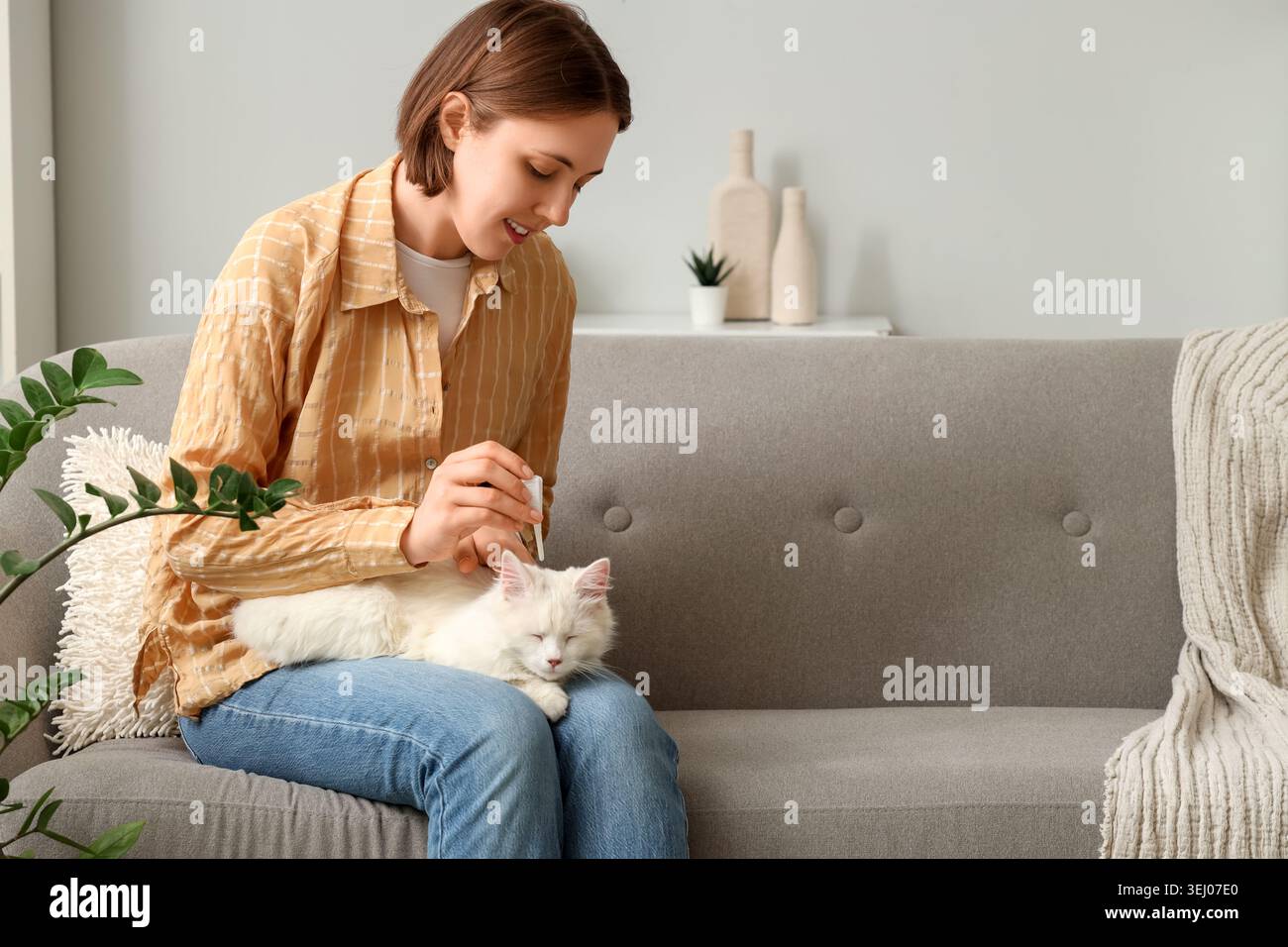 Young woman applying spot-on parasite treatment to cat's neck at home ...