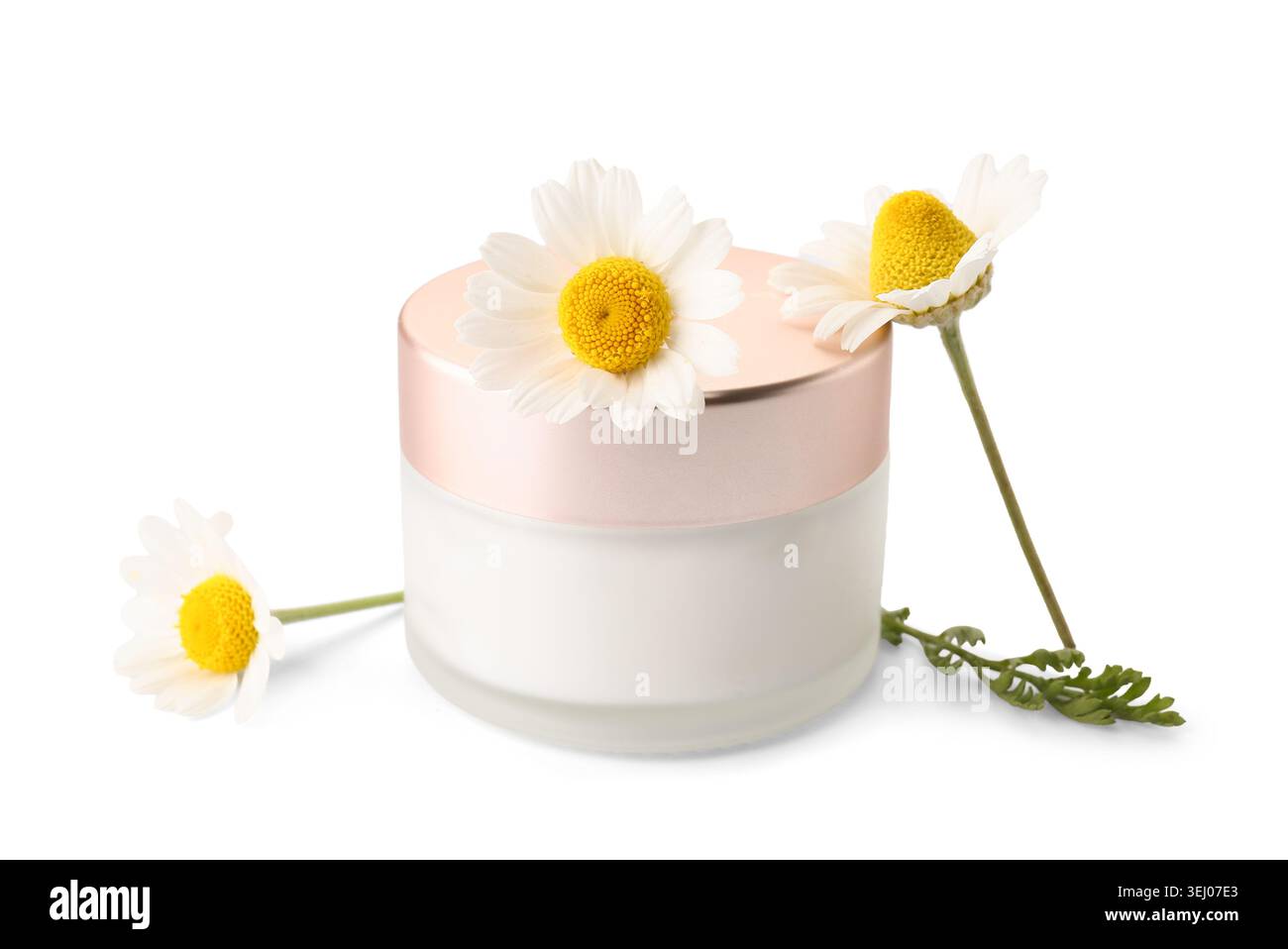 Jar of natural cream with chamomile flowers on white background Stock ...