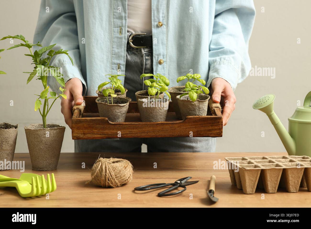 Woman with plant seedlings and gardening tools at wooden table Stock ...