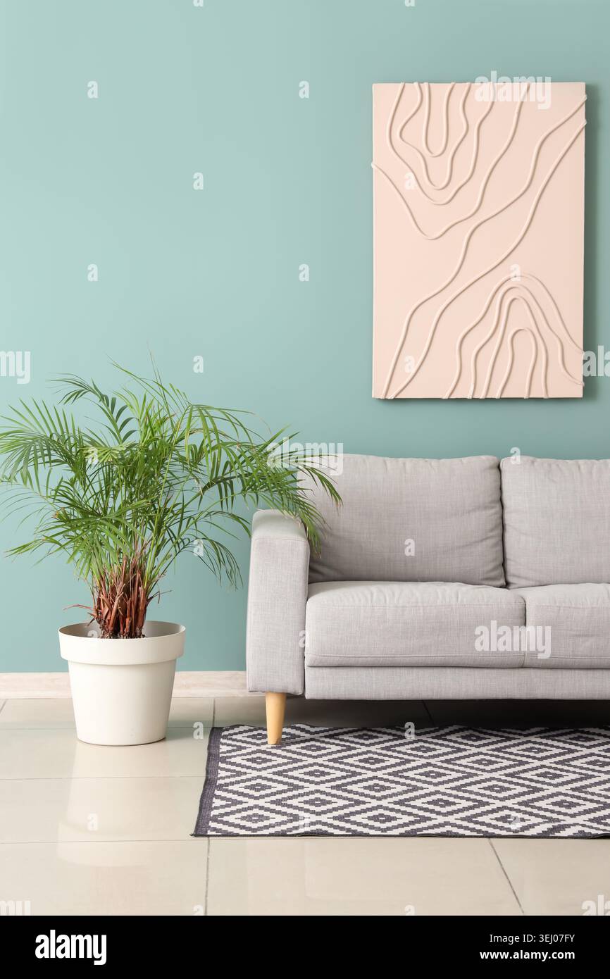 Comfortable grey sofa and houseplant in interior of living room ...