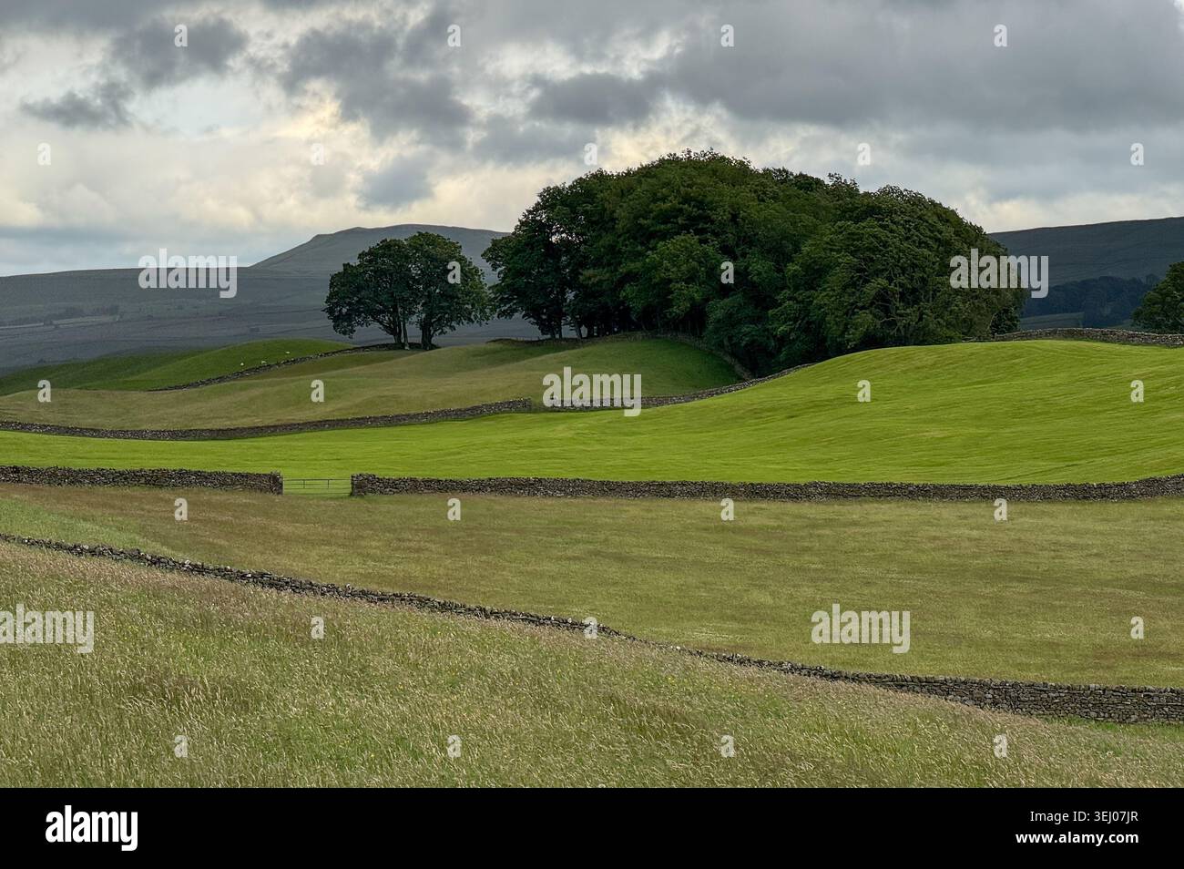 Yorkshire, UK: View of rolling green hills partitioned by traditional ...