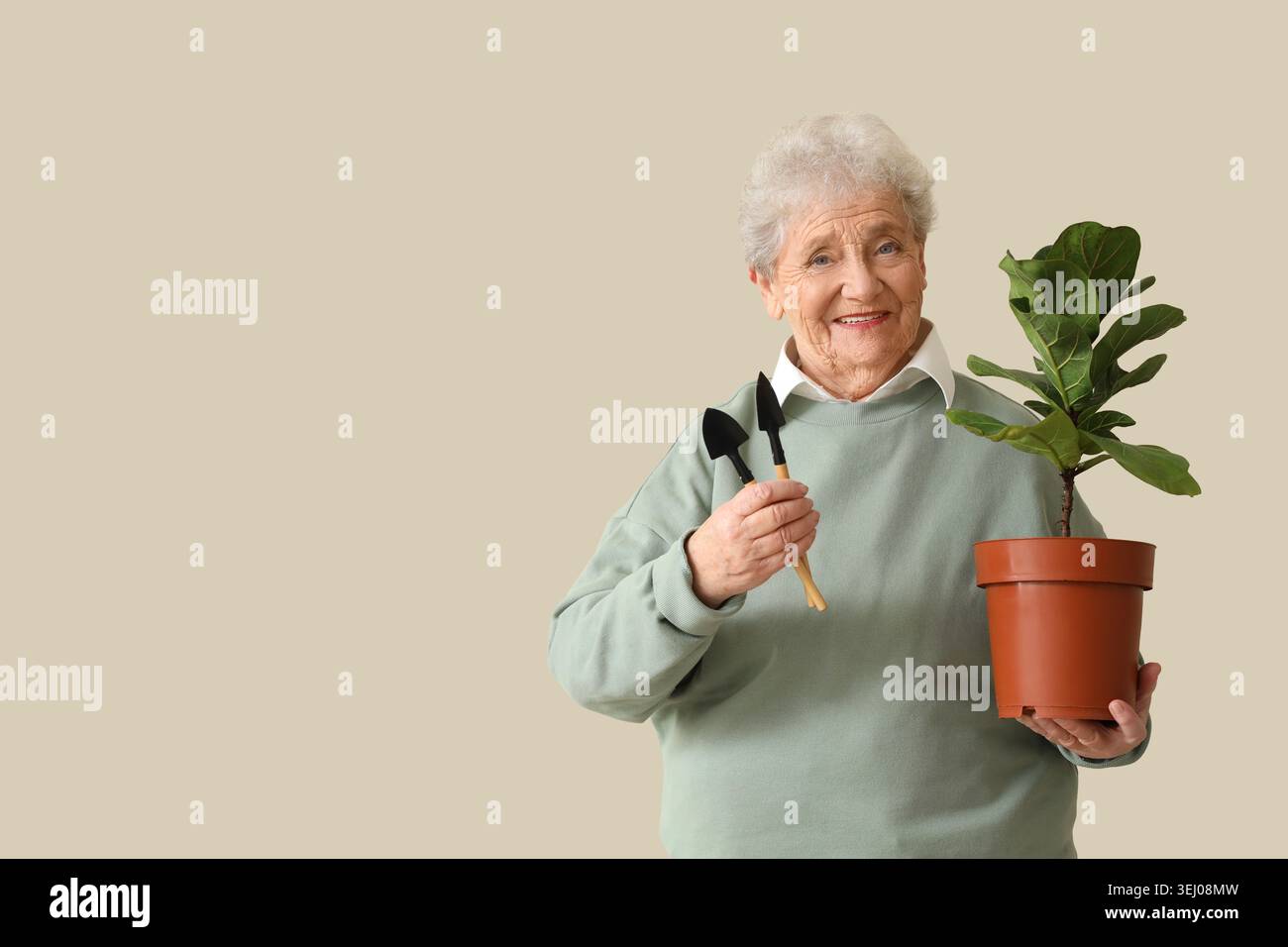 Senior gardener with plant and tools on light background Stock Photo ...