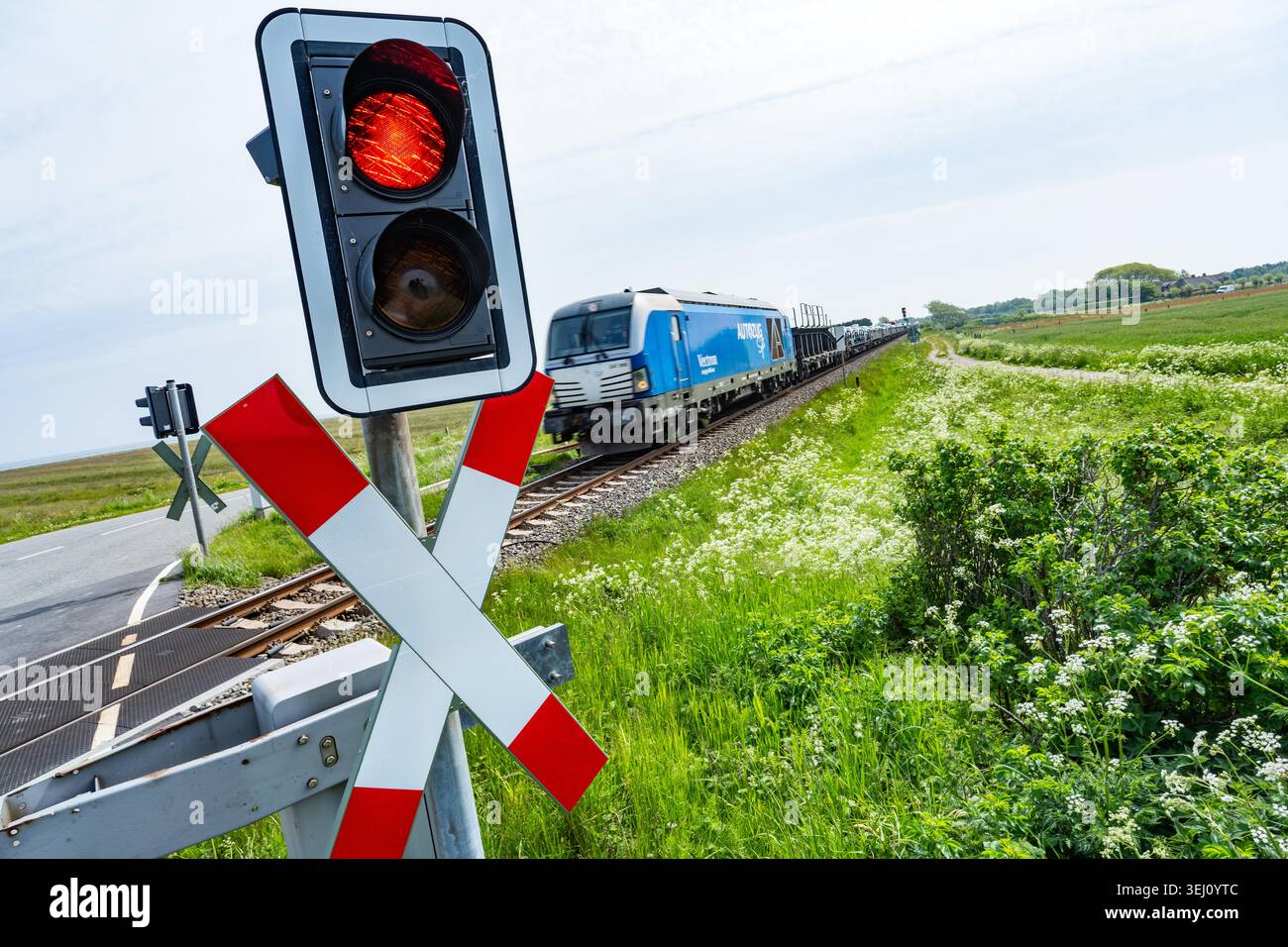 Blue car train operated by the private operating company RDC AUTOZUG ...