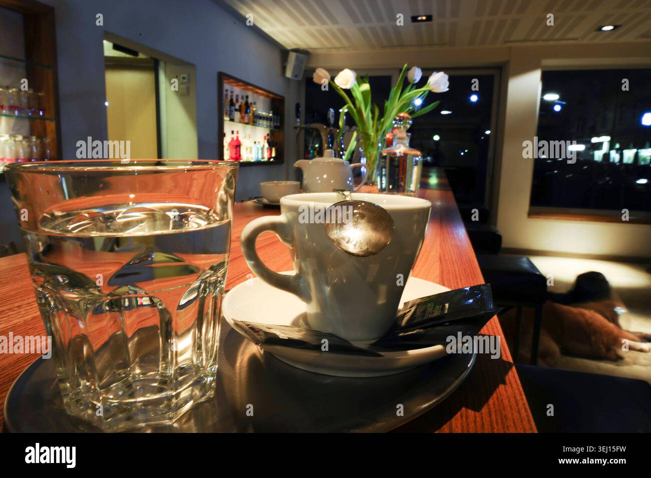 a barkeeper or bartender mixing drinks together in a bar barkeeper ...