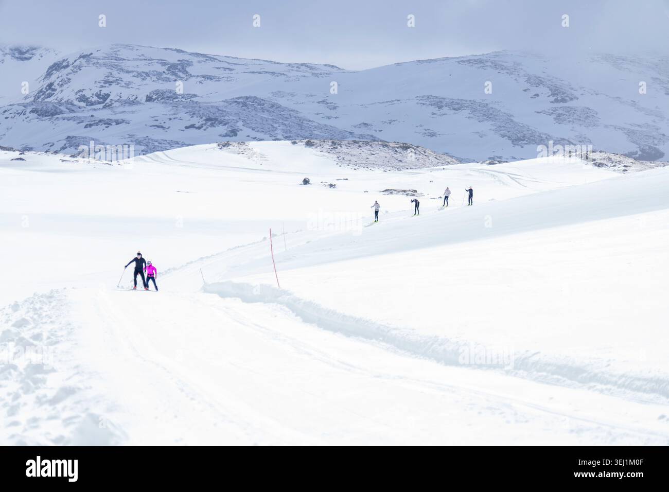 Sognefjellet 20260527. The elite cross-country skiers practice skiing ...