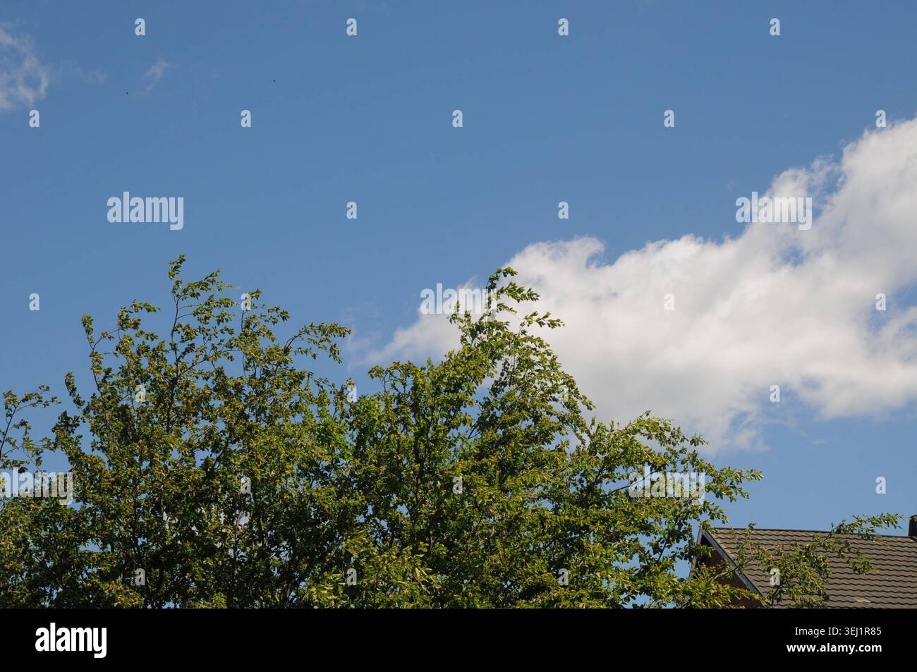 Copenhagen/Denmark /27 MAY 2026 / Clear weather sun shine blue sky and ...