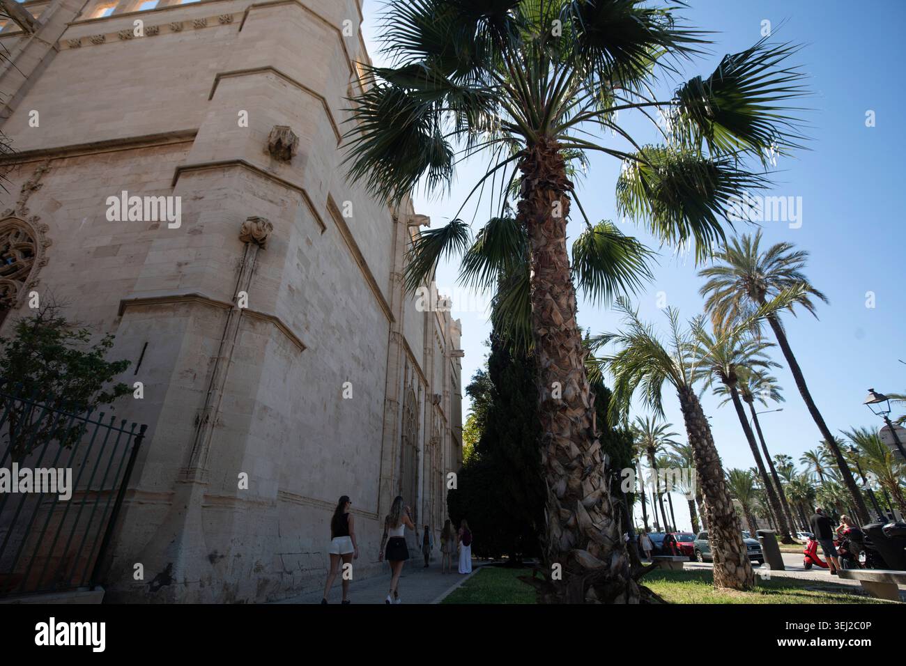 27 May 2026, Spain, Palma: View of the façade of the former fish market ...
