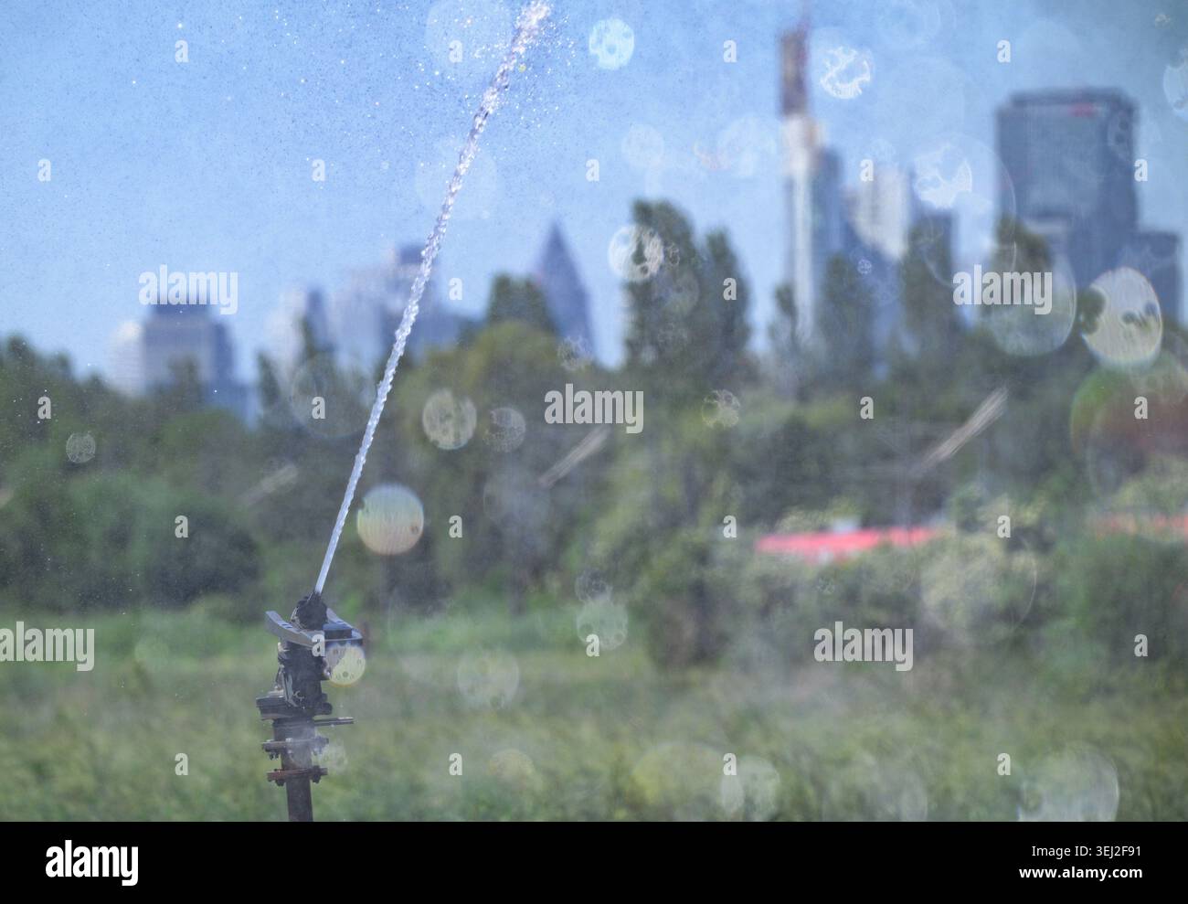 PRODUCTION - 27 May 2026, Hesse, Frankfurt/Main: A water sprinkler ...