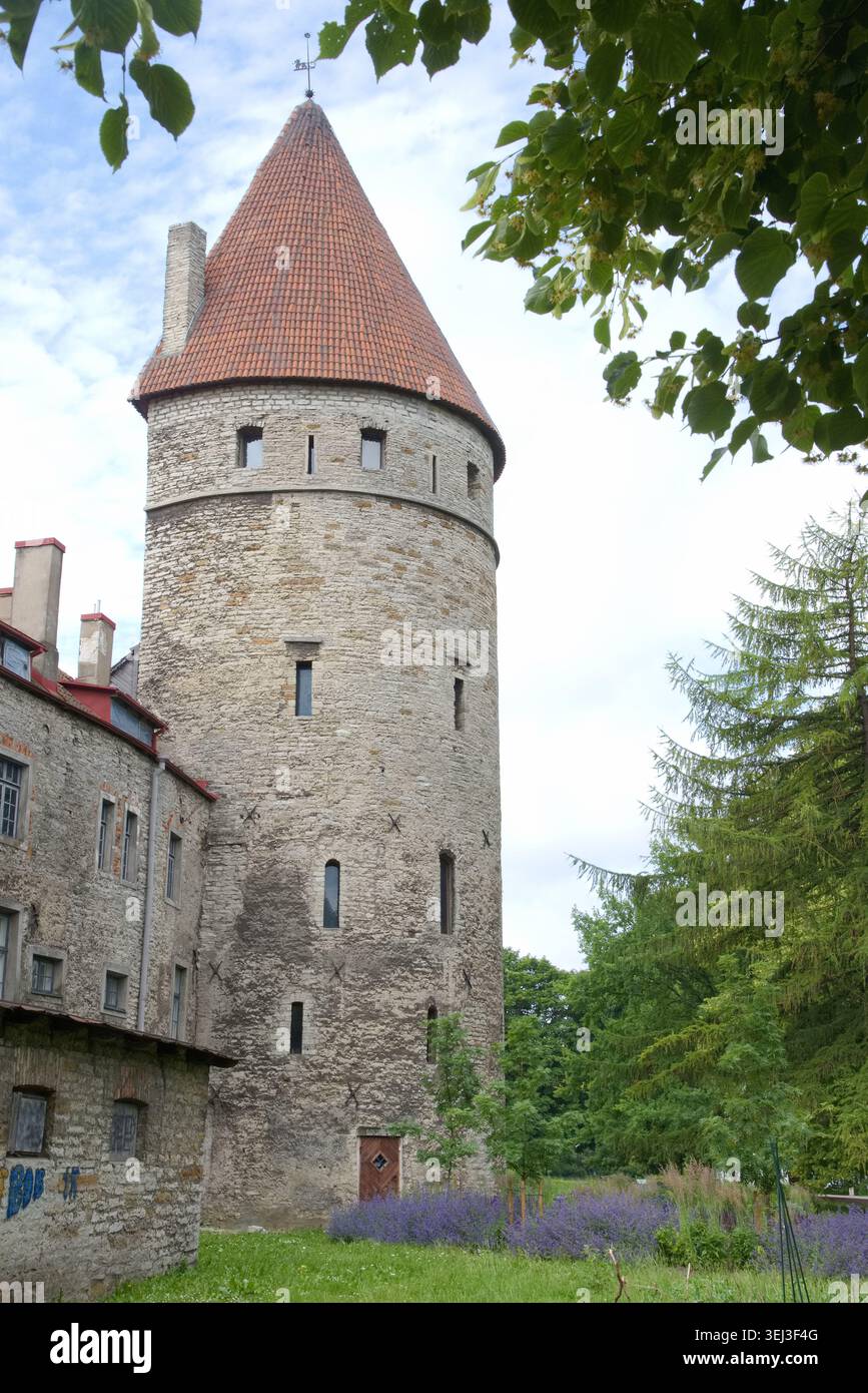 Conical roof narrow windows medieval defence fortified city hi-res ...