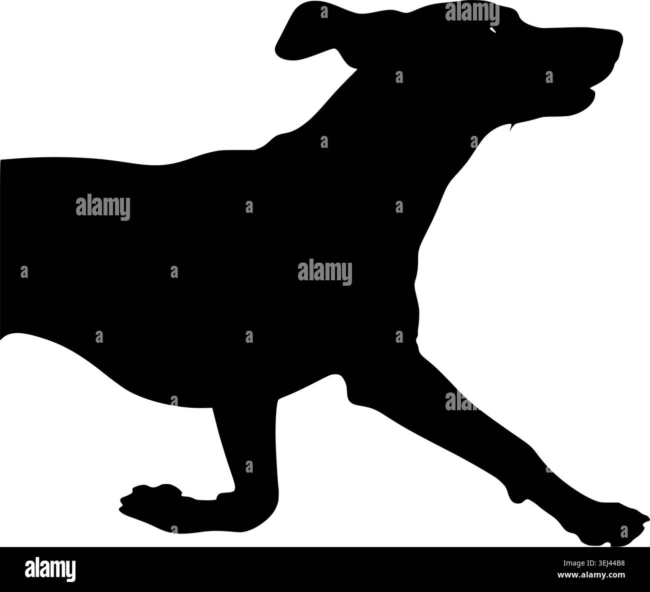 Professional Modern Running Dog Silhouette Fast Greyhound Vector Action ...