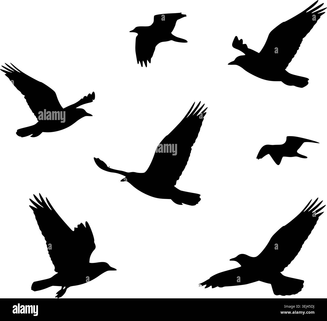 Modern Vector Illustration Of Multiple Birds Flying In The Sky Stock ...