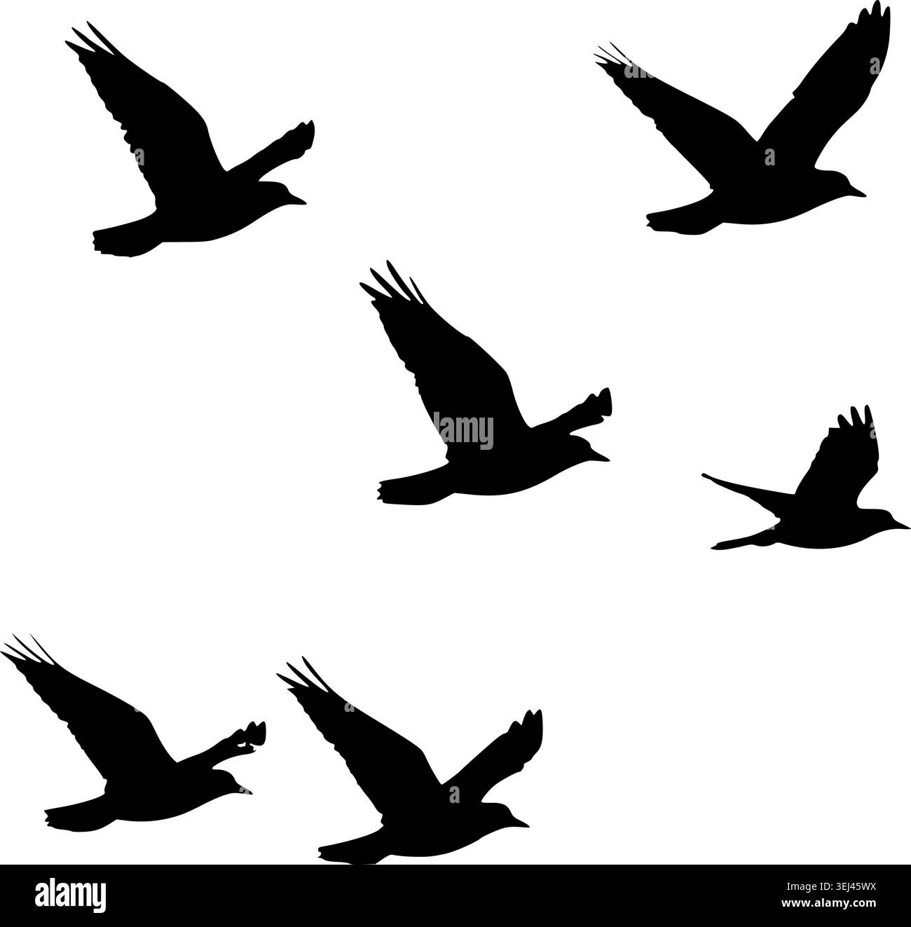 Modern Vector Illustration Of Multiple Birds Flying In The Sky Stock ...