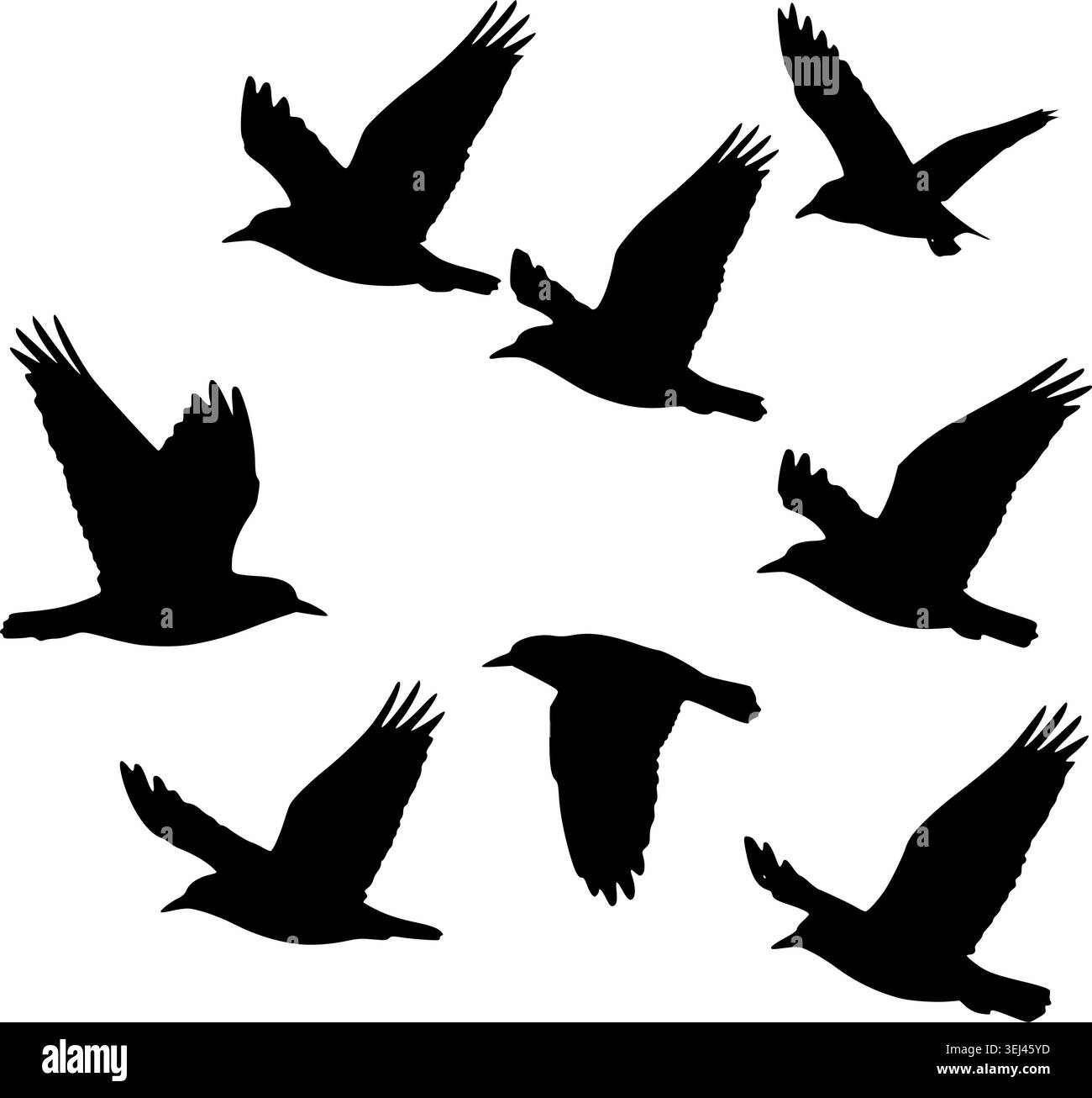 Modern Vector Illustration Of Multiple Birds Flying In The Sky Stock ...