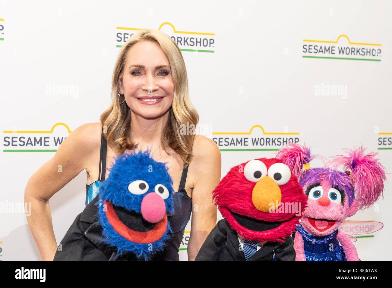 Andrea Canning attends Sesame Workshop 2026 annual gala at Cipriani ...