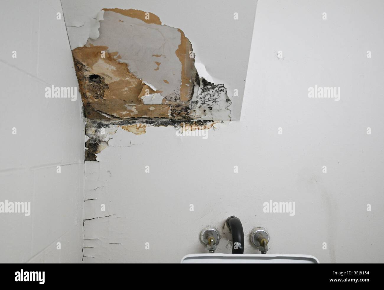 Black mould is shown in the laundry room of a social housing complex in ...