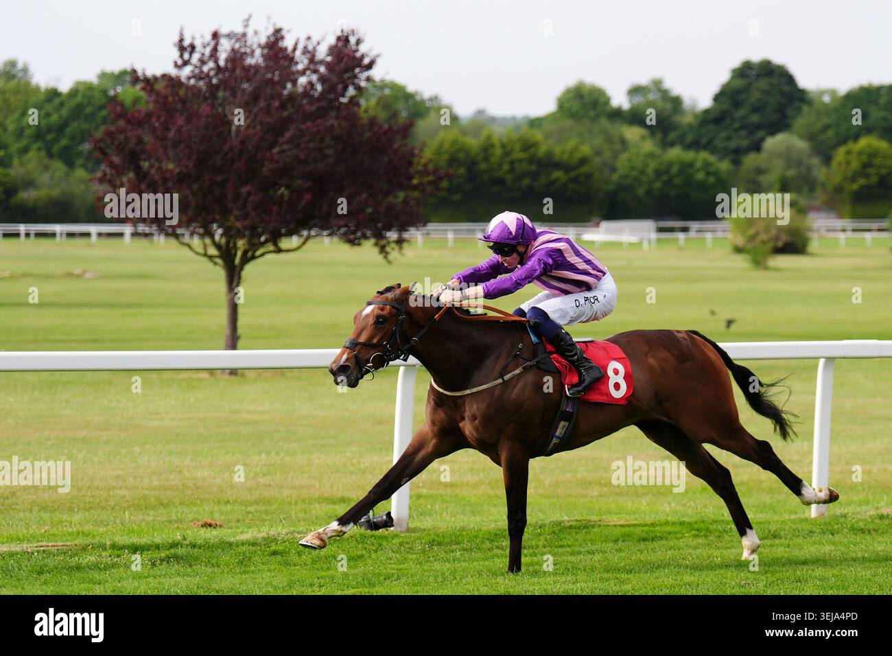 Havana Smile ridden by David Probert wins the Star Sports Handicap at ...