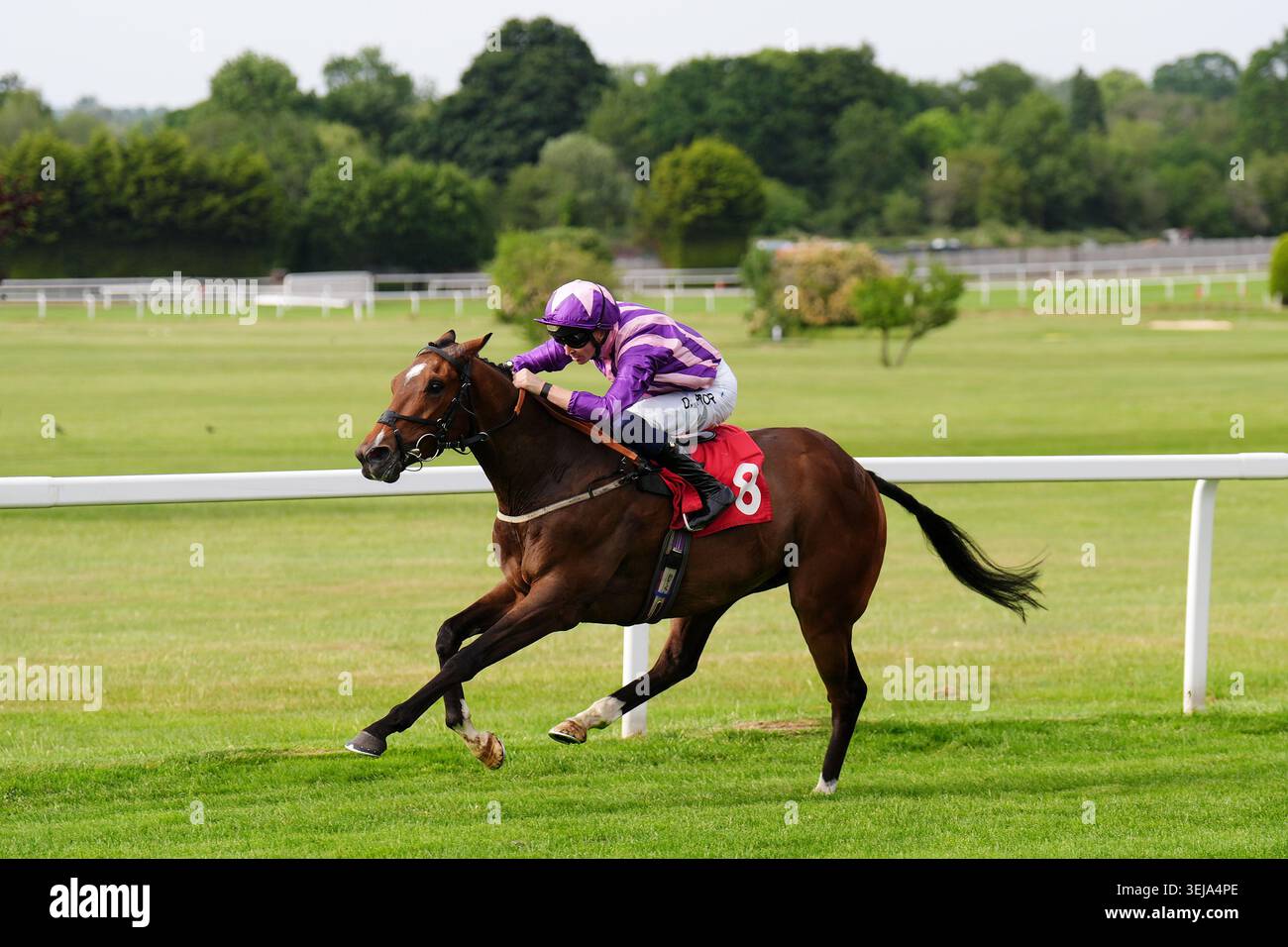 Havana Smile ridden by David Probert wins the Star Sports Handicap at ...