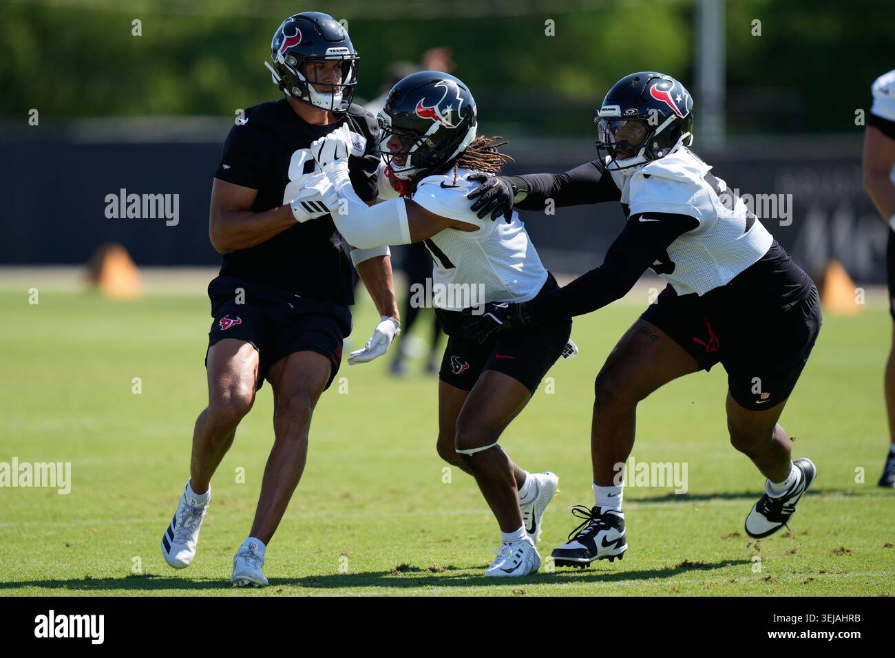 Houston Texans wide receiver Jayden Higgins (81), cornerback Stephen ...