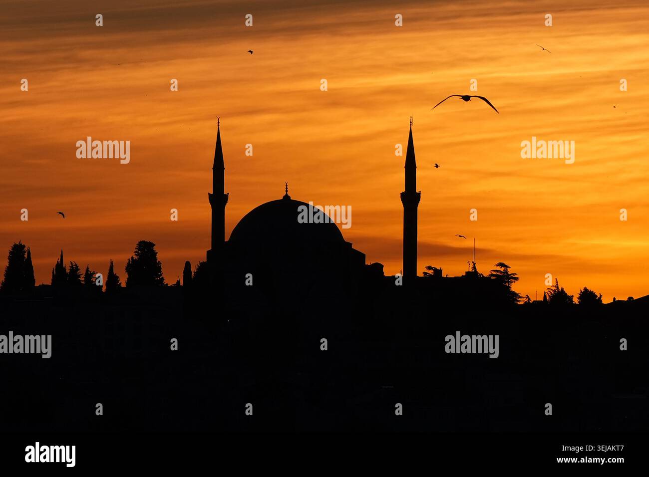 May 25, 2026, Istanbul, Turkey: Sunset view behind the Sultan Selim I ...