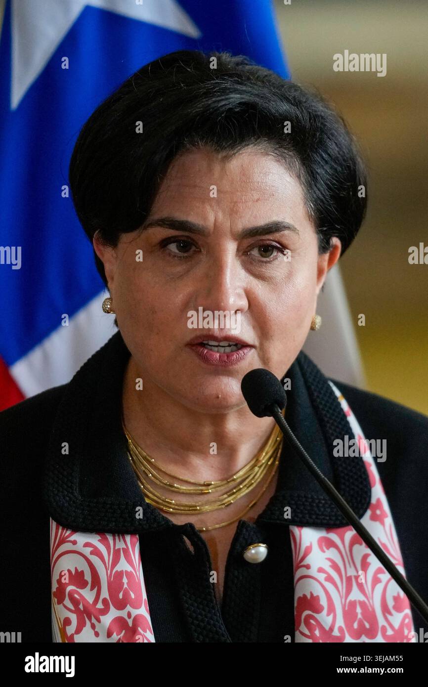 Ecuador's Foreign Minister Gabriela Sommerfeld addresses a regional ...