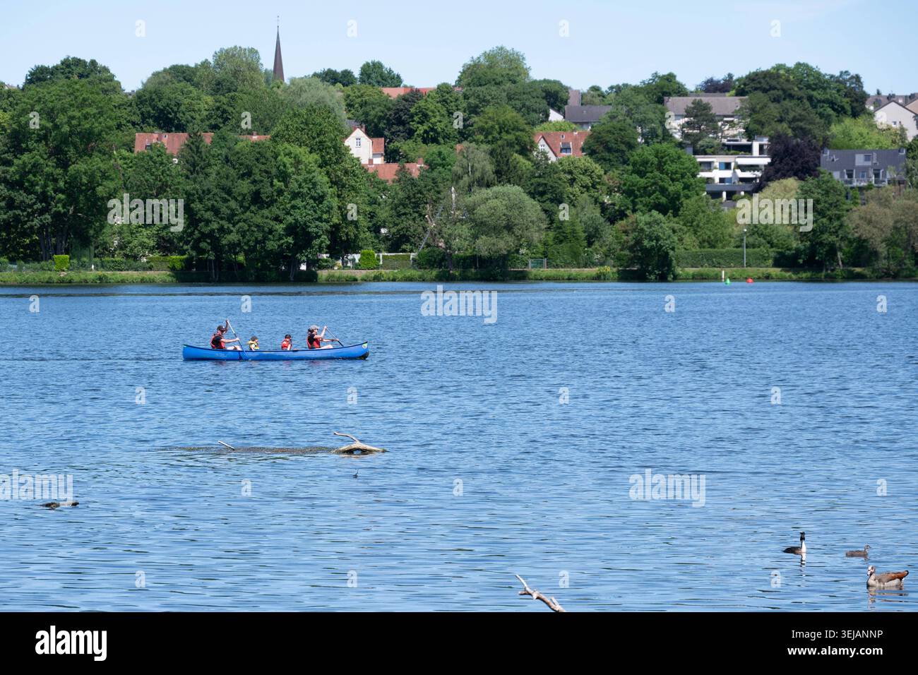 Menschen, Familie in einem Canadier, Kanu, Paddelboot, auf dem ...
