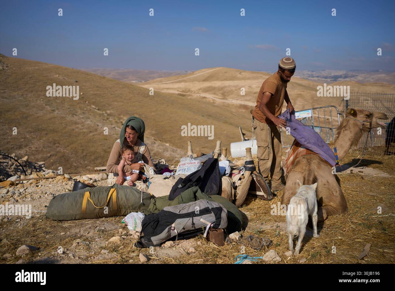 Israeli settler parents travel with their baby on camels in the ...