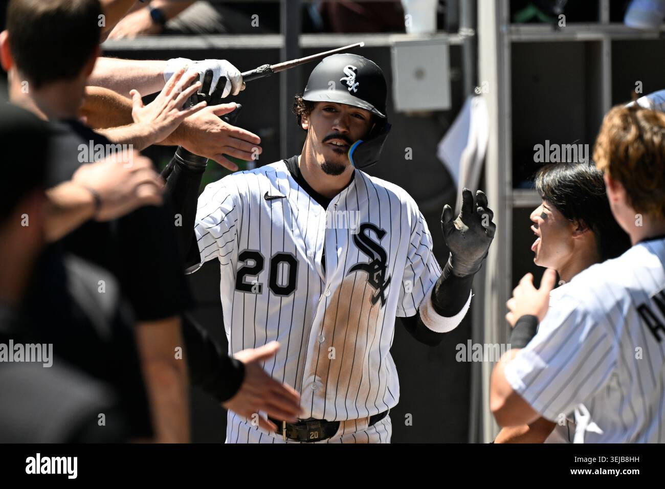Chicago White Sox's Miguel Vargas celebrates in the dugout after ...