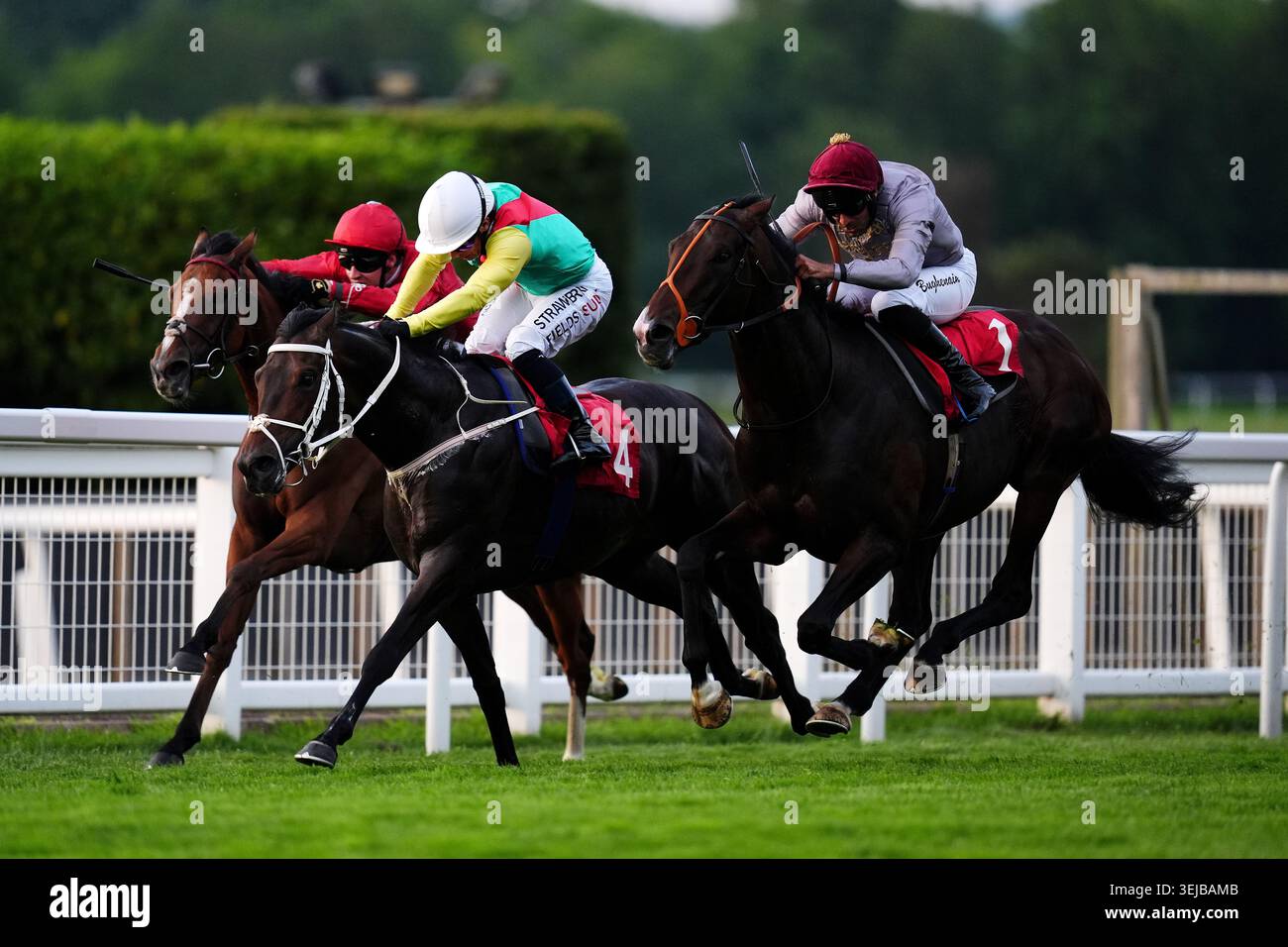 Law Court ridden by Faleh Bugheniam (right) wins the starsports.bet ...