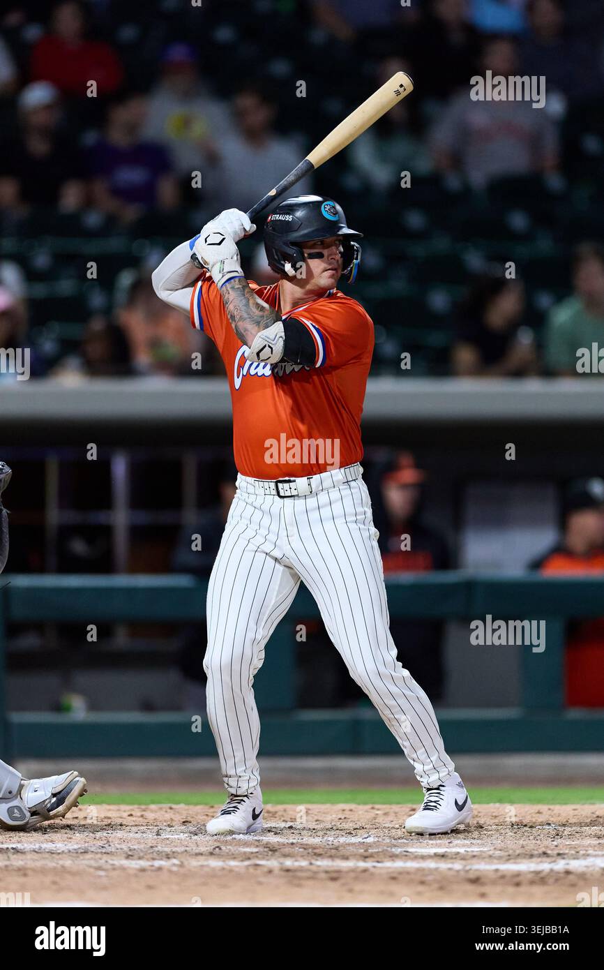 Korey Lee (88) of the Charlotte O's bats against the Norfolk Tides ...