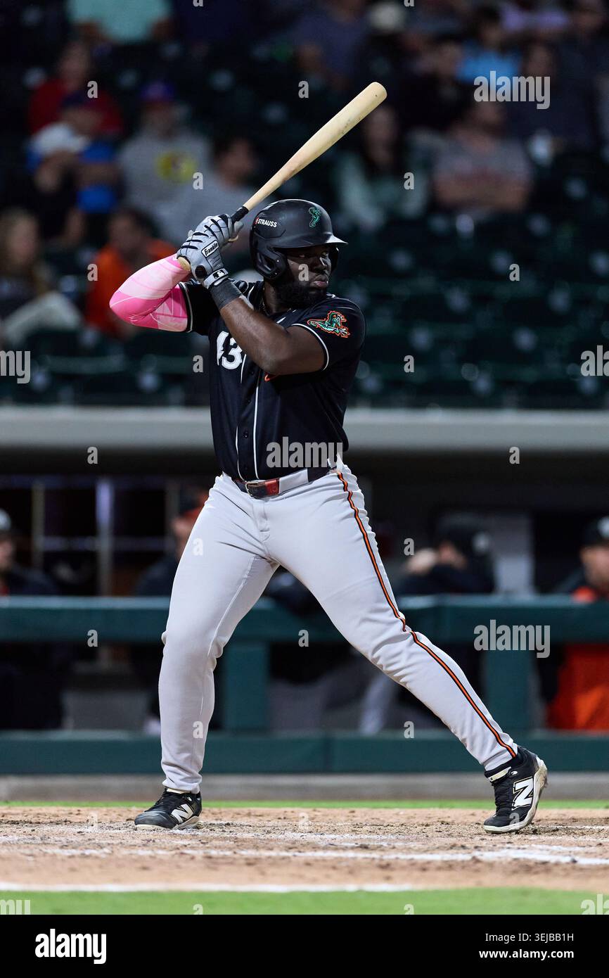 Jhonkensy Noel (43) of the Norfolk Tides bats against the Charlotte O's ...