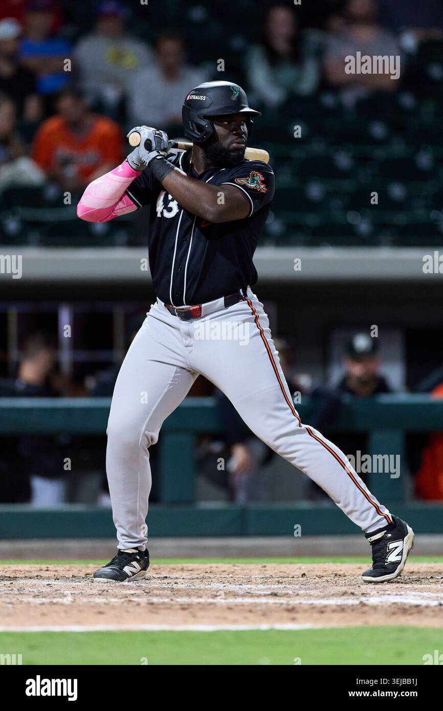 Jhonkensy Noel (43) of the Norfolk Tides bats against the Charlotte O's ...