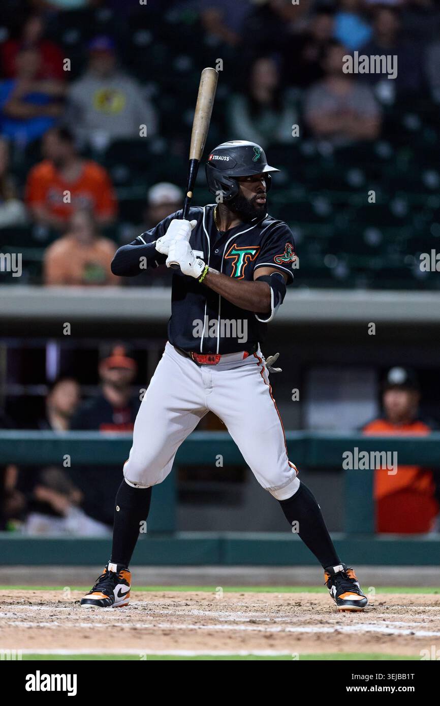 Bryan Ramos (15) of the Norfolk Tides bats against the Charlotte O's ...