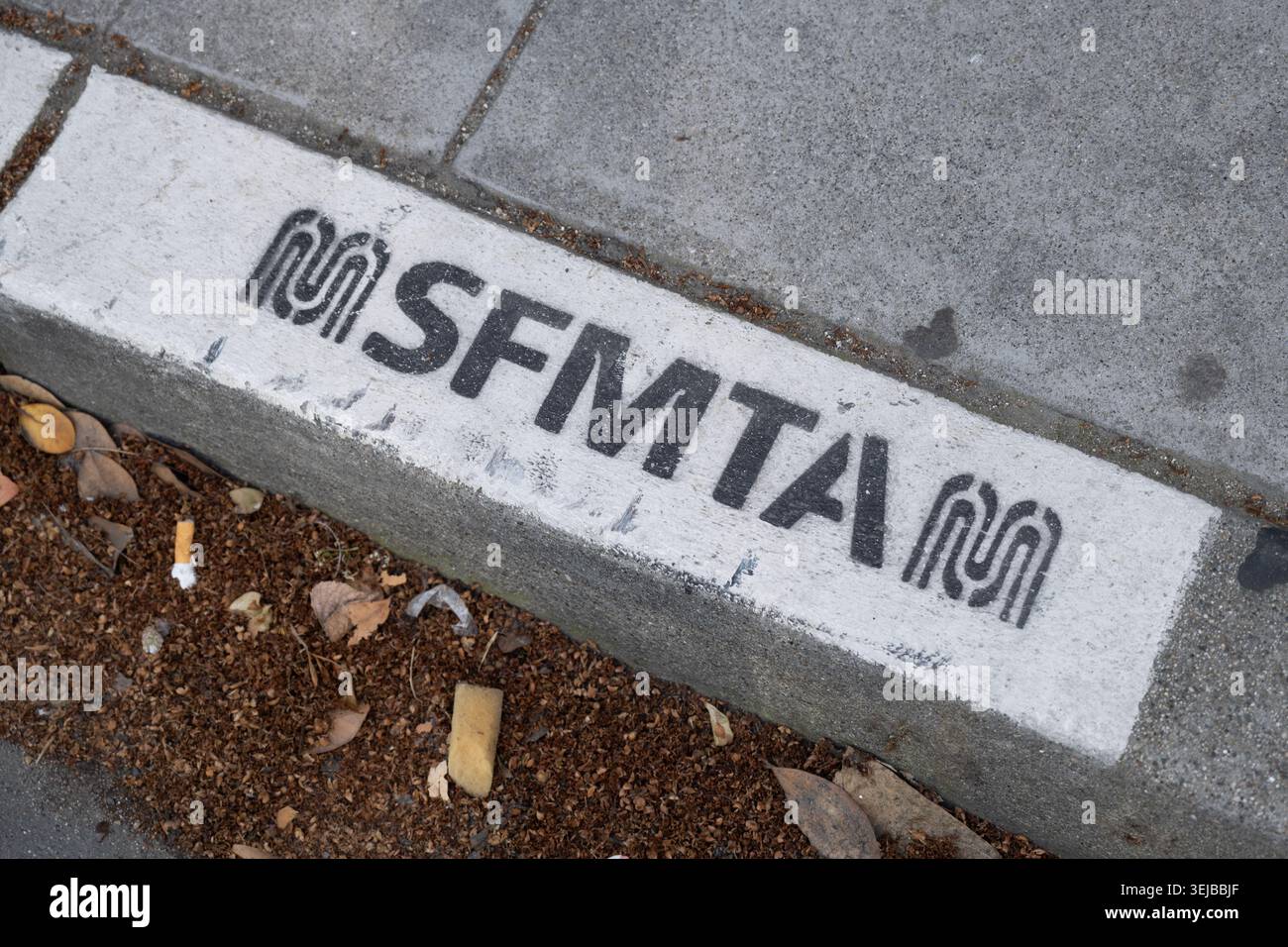 Painted curb with SFMTA logo and lettering next to fallen leaves and ...