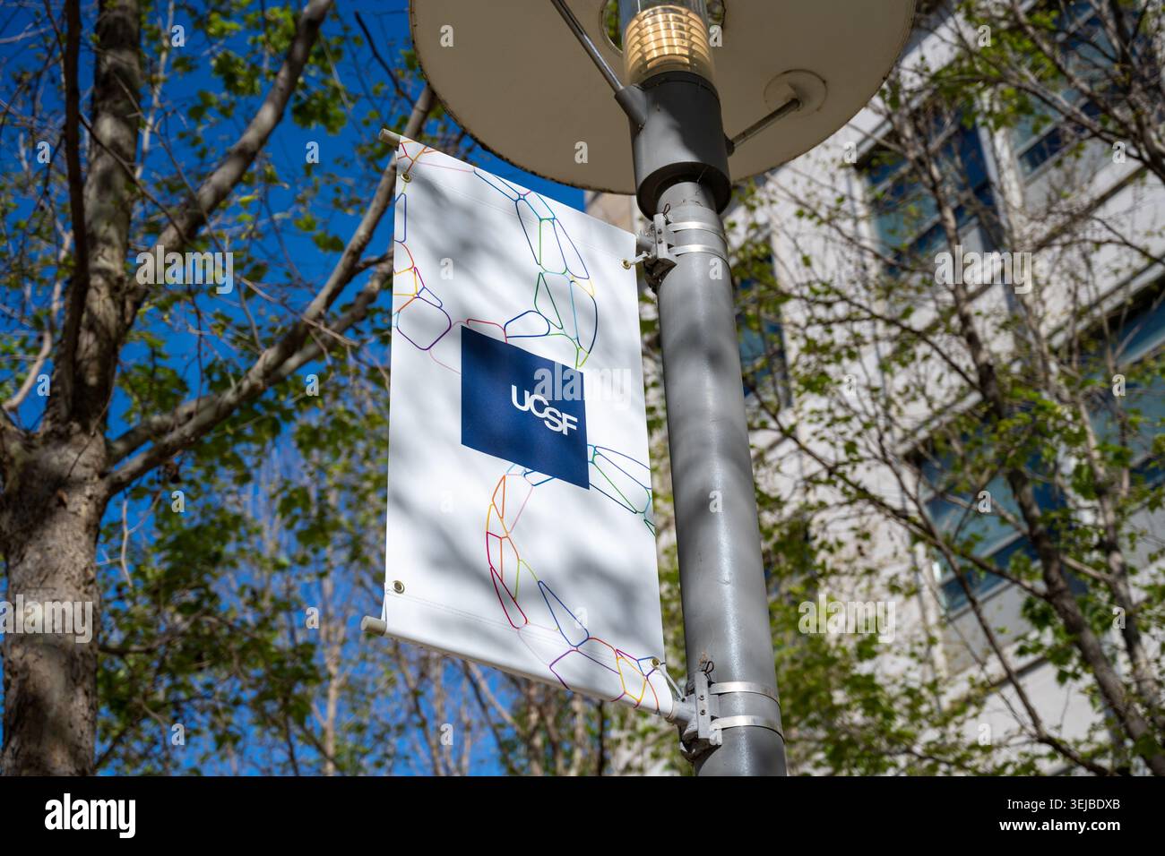 Vertical banner with UCSF logo hanging from a streetlight near trees ...