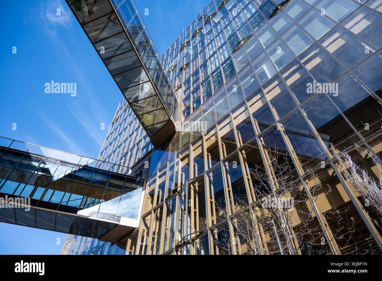 Facade of the offices of artificial intelligence company OpenAI in San ...