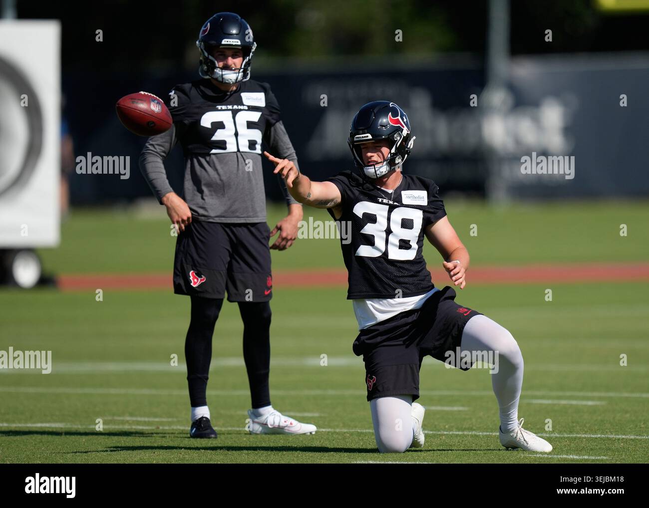 Houston Texans punter Jack Stonehouse (36) and punter Kai Kroeger (38 ...