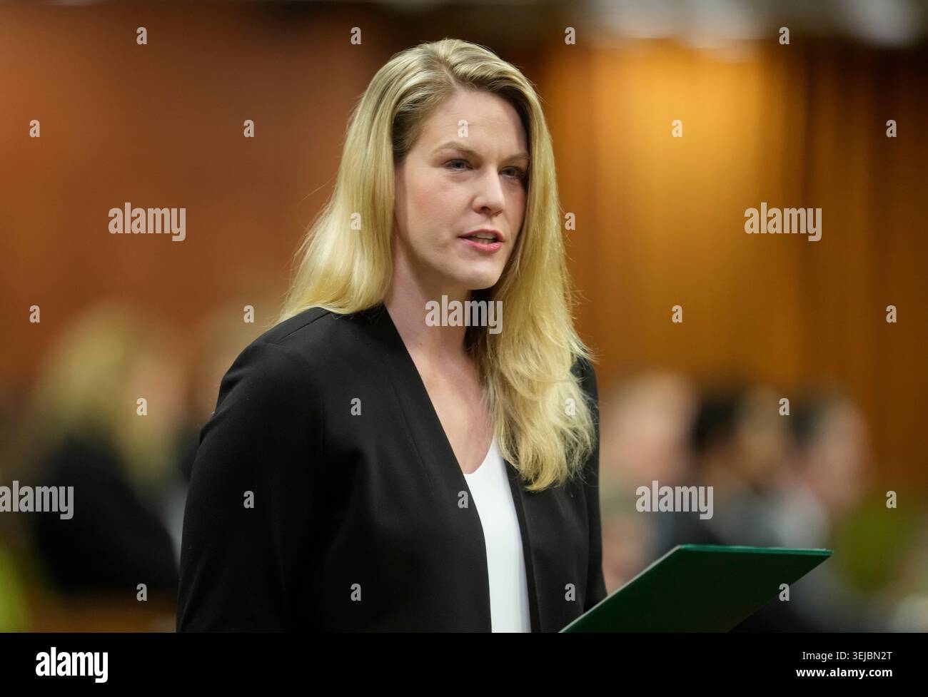 MP for Lethbridge Rachael Thomas rises in the House of Commons on ...