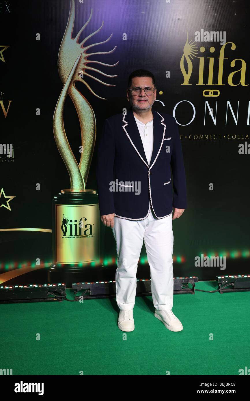 MUMBAI, INDIA - MAY 28: Guest attends the IIFA Connex Green carpet on ...