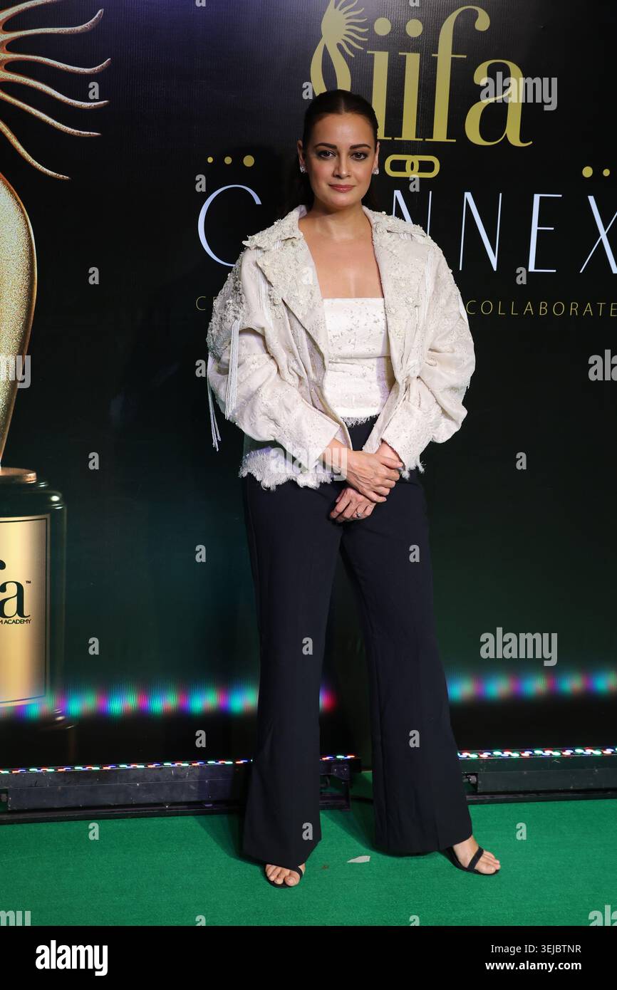 MUMBAI, INDIA - MAY 28: Dia Mirza attends the IIFA Connex Green carpet ...