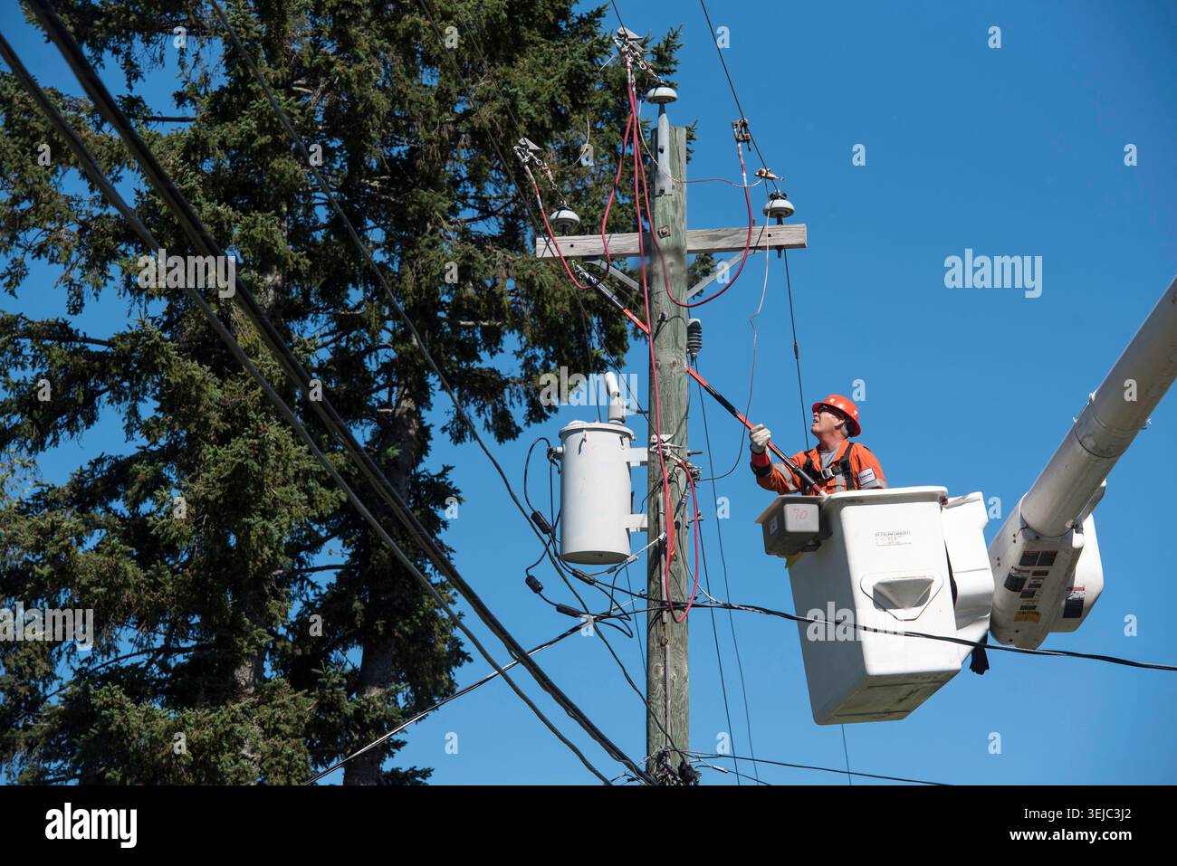 A contract crew working with NB Power works to restore power in ...
