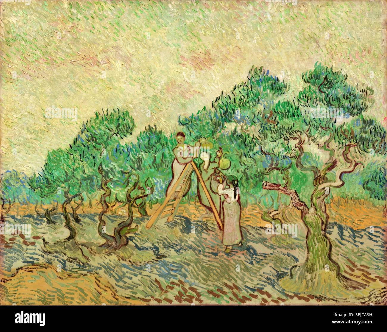 Vincent van Gogh "The Olive Orchard" 1889 French oil Dutch Saint-Rémy ...