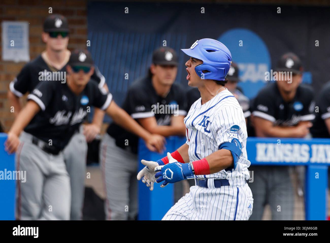 Kansas' Augusto Mungarrieta (21) reacts as he heads toward home plate ...