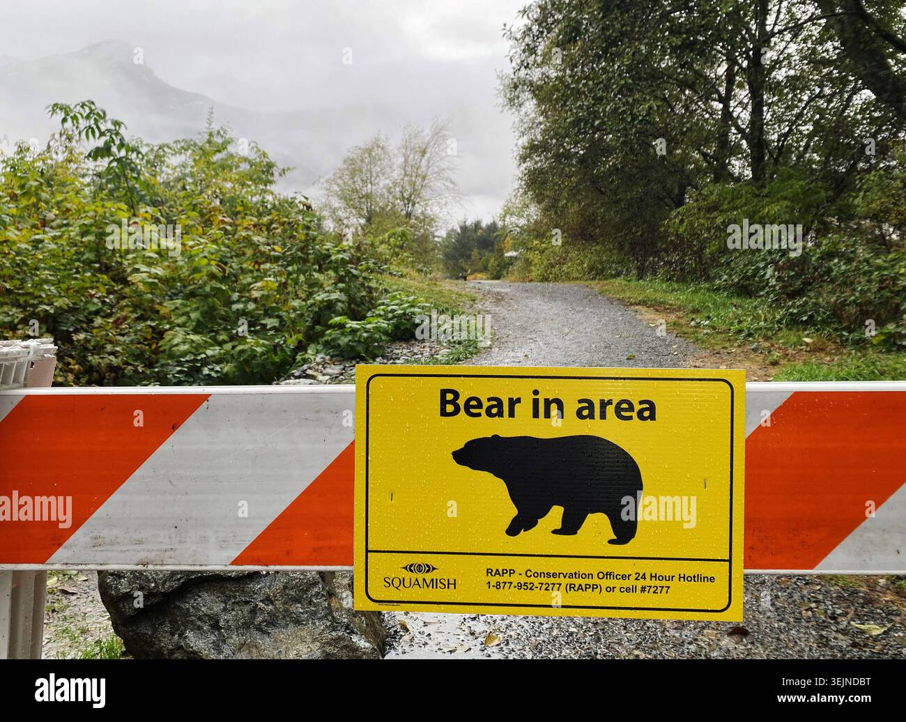 A sign warning of a bear in the area is shown in Squamish, B.C. on ...